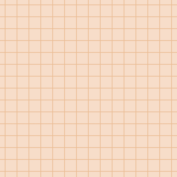 Grid in Dusty Peach on Pink | Hawthorne Supply Co