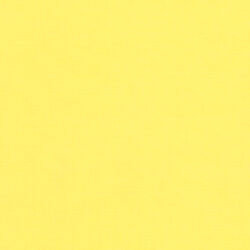 Kona Cotton Solids by Robert Kaufman | Hawthorne Supply Co