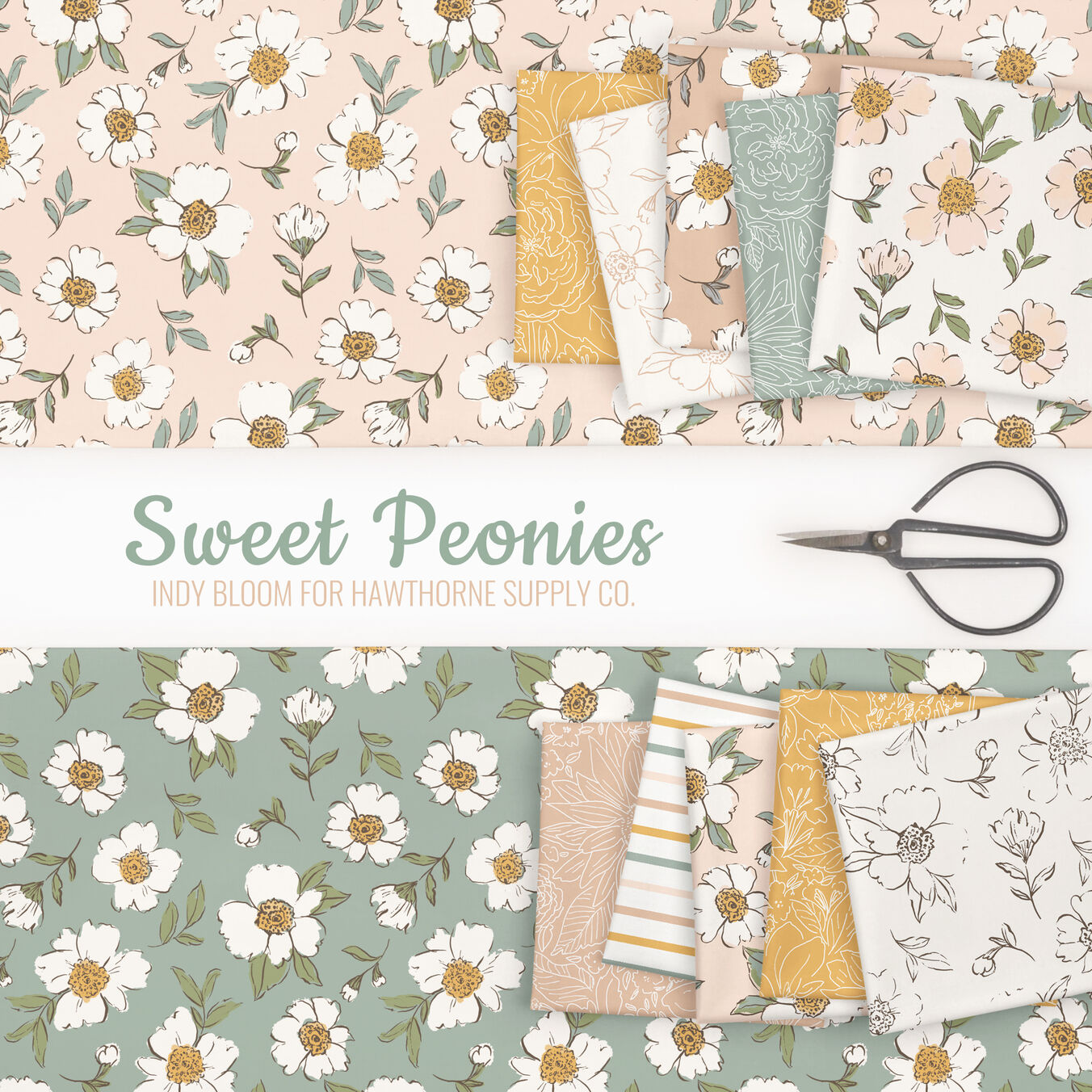 Sweet Peonies by Indy Bloom | Hawthorne Supply Co