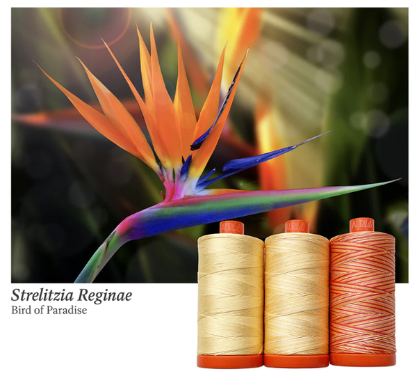 Bird of Paradise Color Builder Thread Set - Aurifil Thread Collection ...