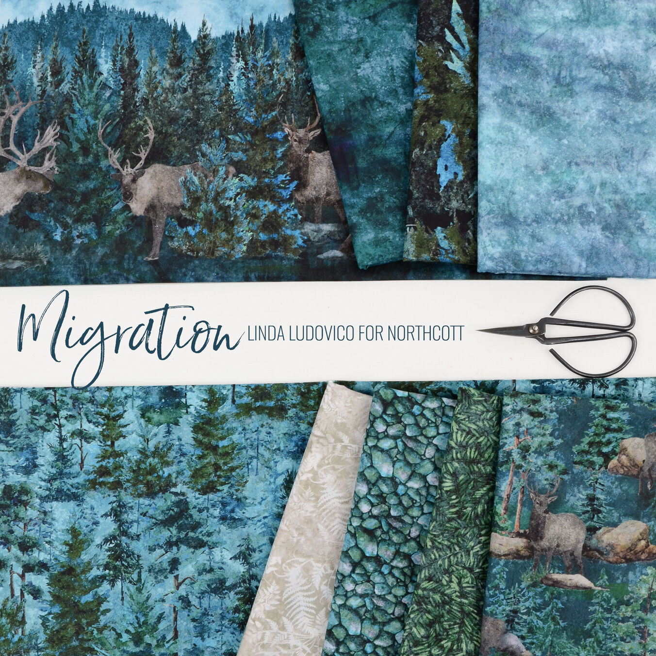 Migration by Linda Ludovico | Hawthorne Supply Co