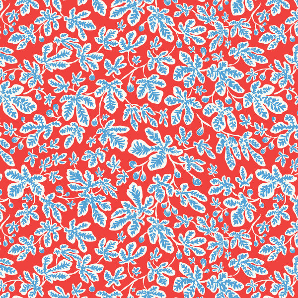 Fig Trees in Red | Hawthorne Supply Co