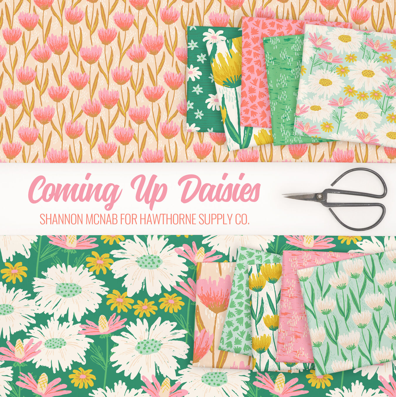 Coming Up Daisies by Shannon McNab | Hawthorne Supply Co