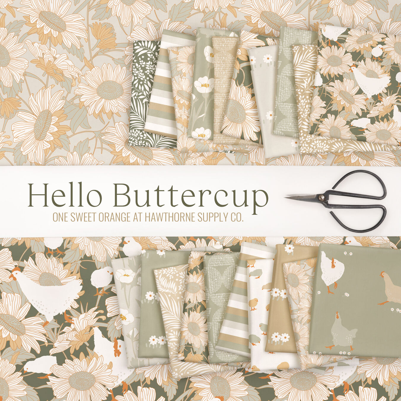 Hello Buttercup by One Sweet Orange | Hawthorne Supply Co