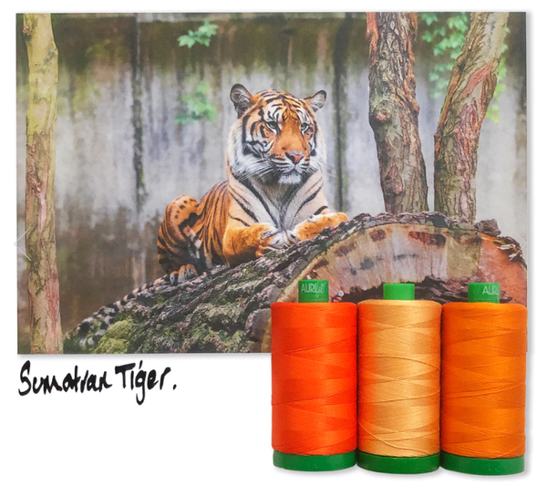 Sumatran Tiger Color Builder Thread Set - Aurifil Thread Collection ...