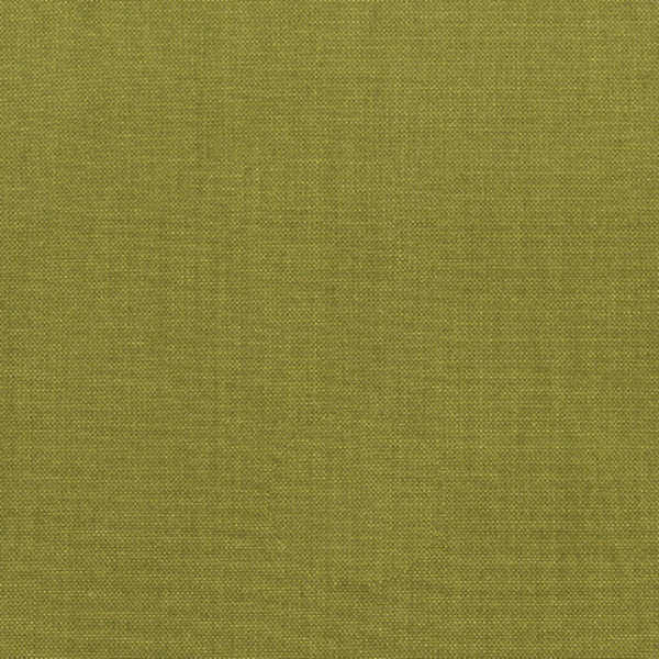 Artisan Cotton in Olive Light Olive | Hawthorne Supply Co